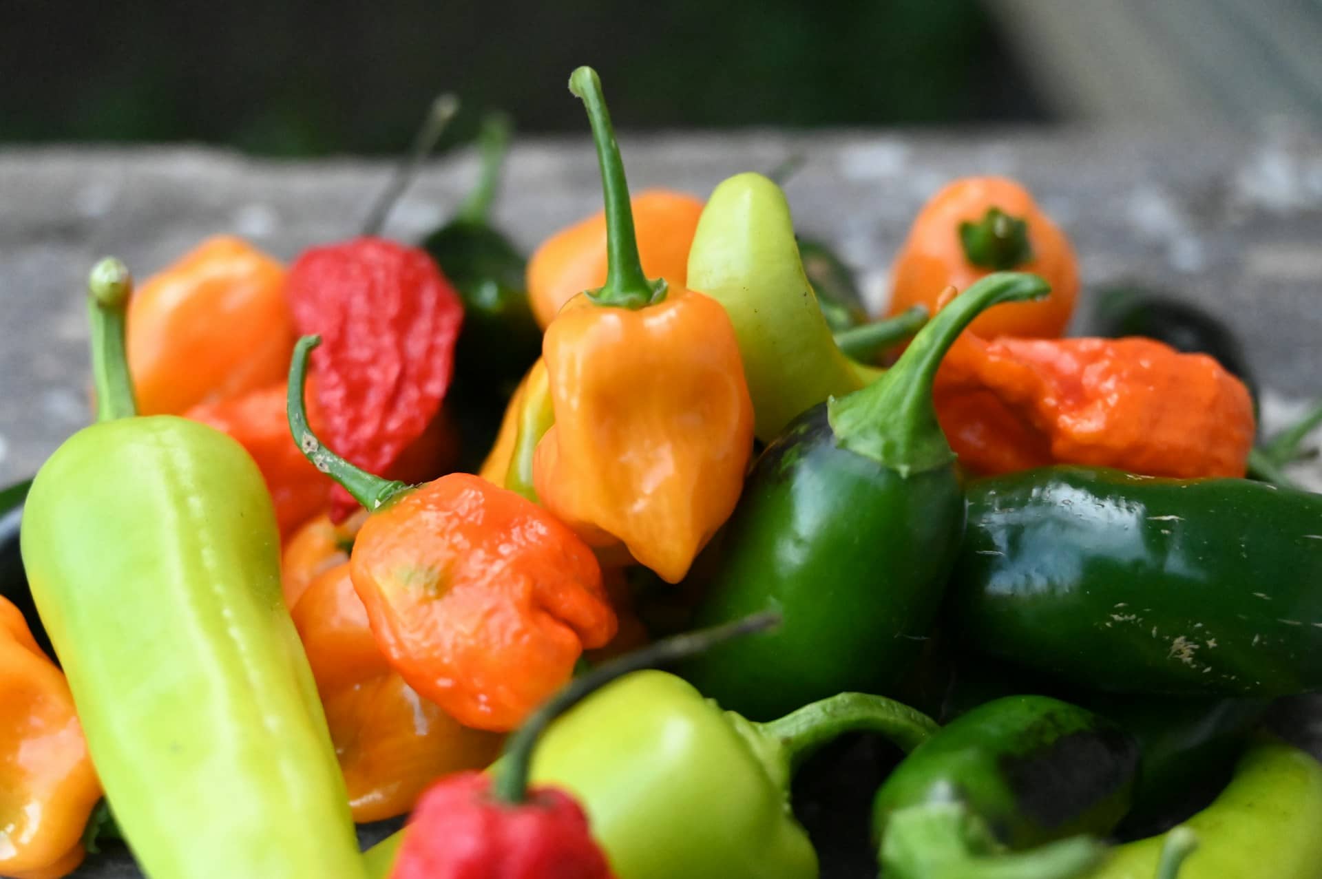 Hot Pepper Guide: Heat Levels, Flavor & Scoville Scale | TorchBearer ...
